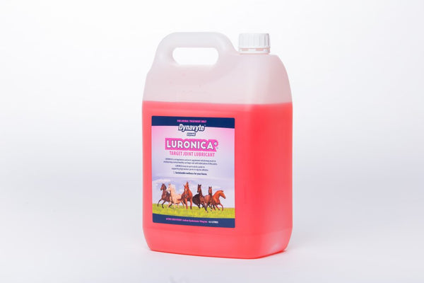 Luronica 1L • Uberhorse