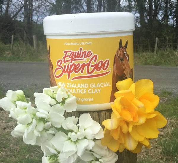 Equine SuperGoo NZ Glacial Clay 750g • Uberhorse