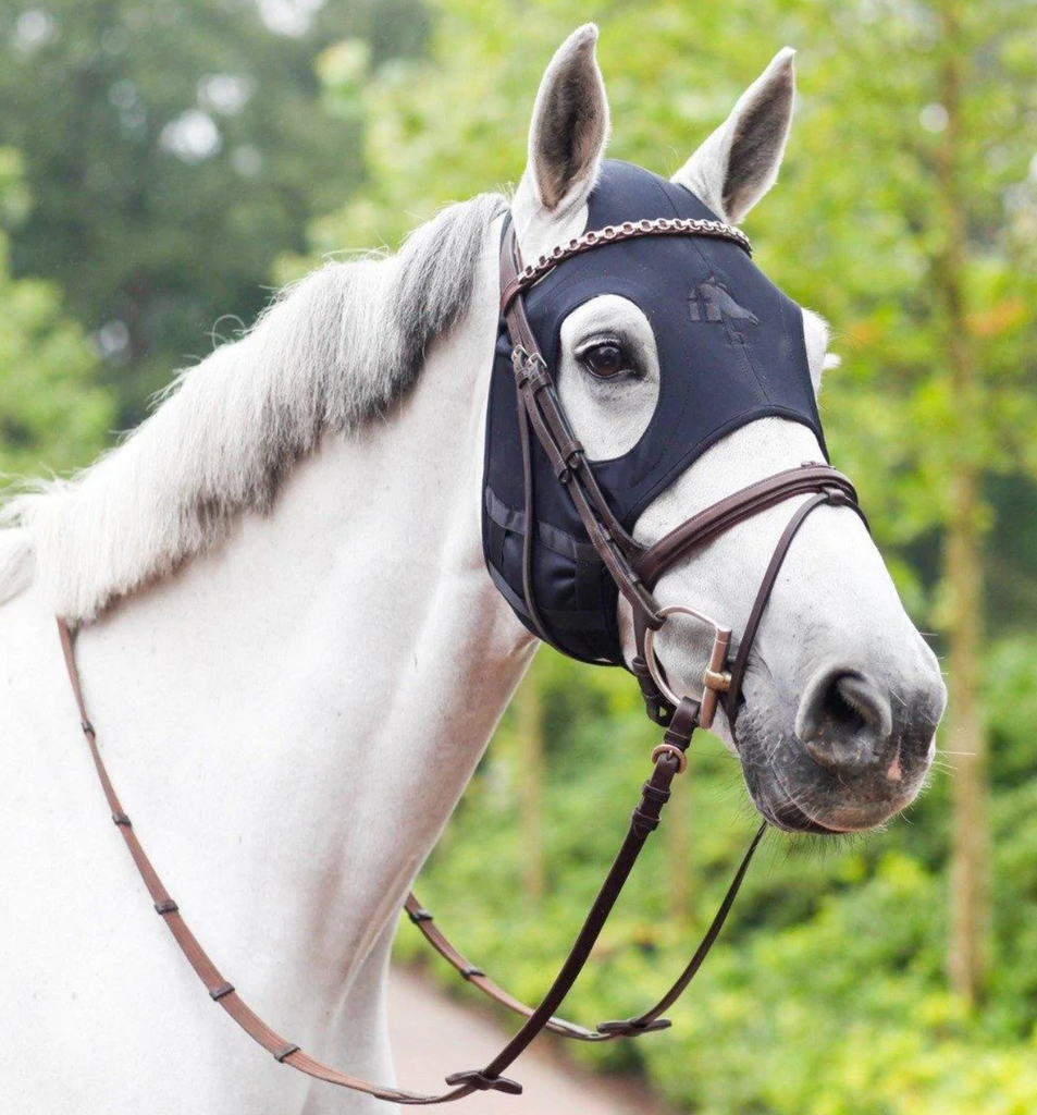 Liquid Titanium Therapeutic Mask • Uberhorse