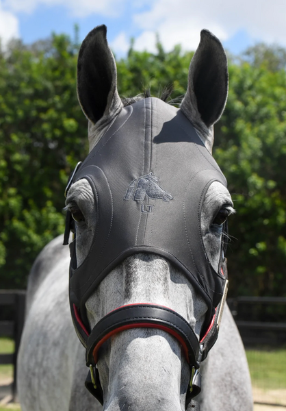 Liquid Titanium Therapeutic Mask • Uberhorse