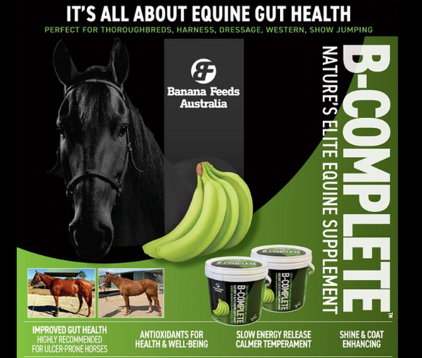 Banana Feeds B-Complete • Uberhorse