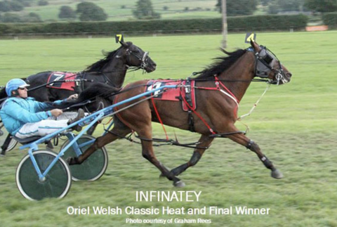 Liquid Titanium Therapeutic Mask with Ears • Uberhorse