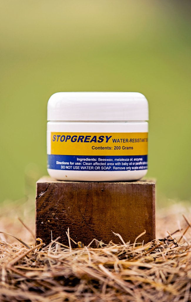 Dynavyte Stop Greasy • Uberhorse